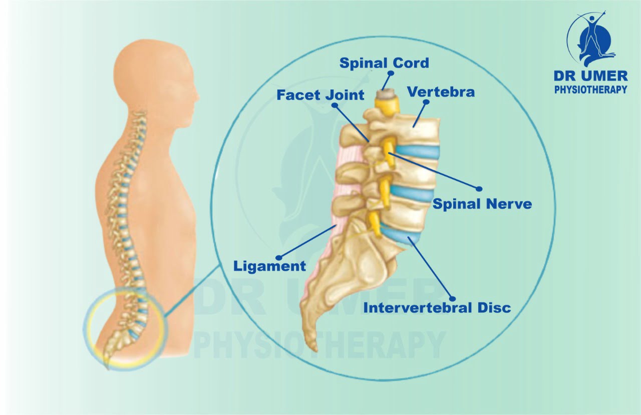 Physiotherapy for Back Pain